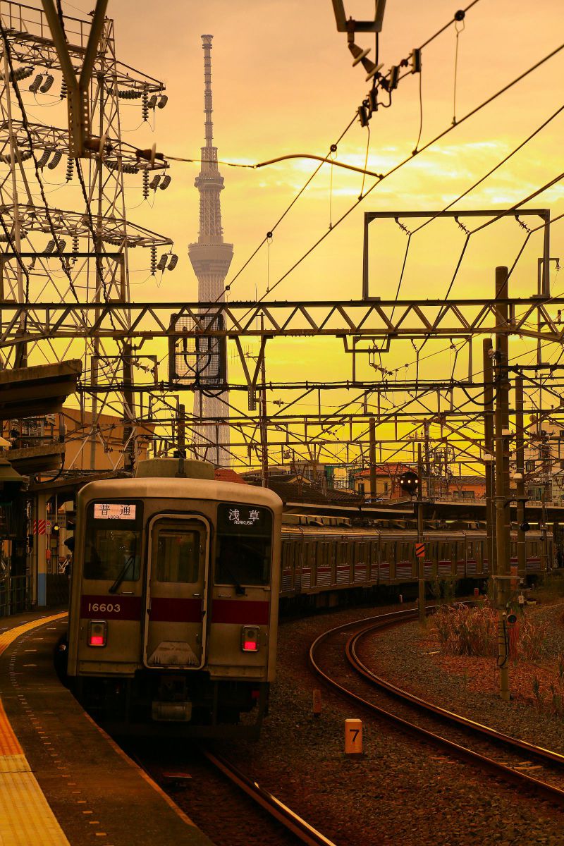 茜色の塔 | GANREF