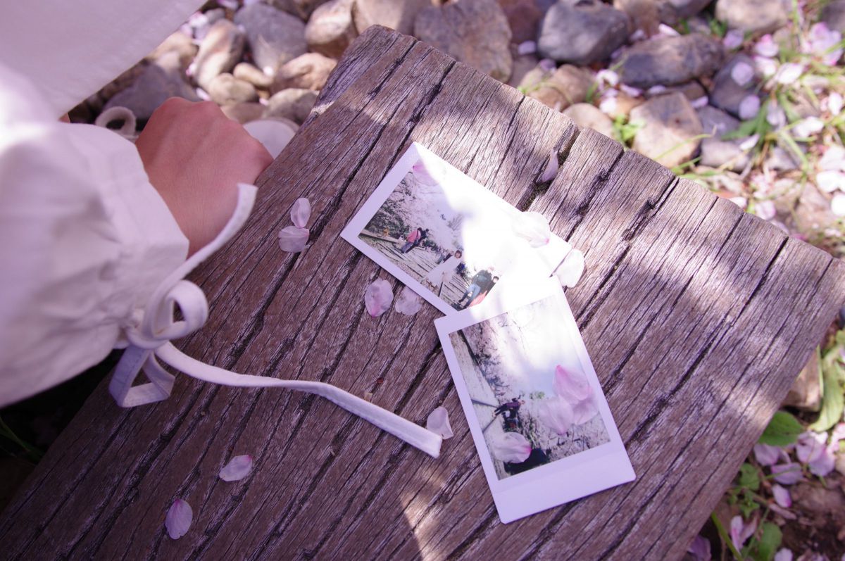 今年の春は | GANREF