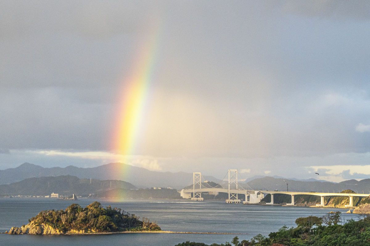 Over the rainbow | GANREF