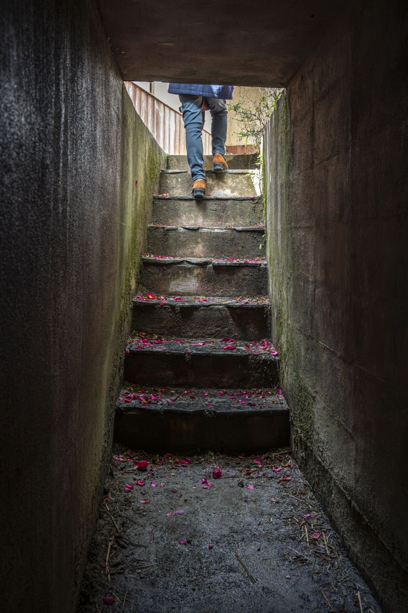 Breakthrough | GANREF