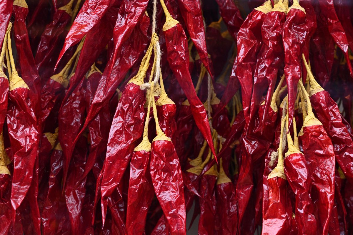 Red Peppers | GANREF