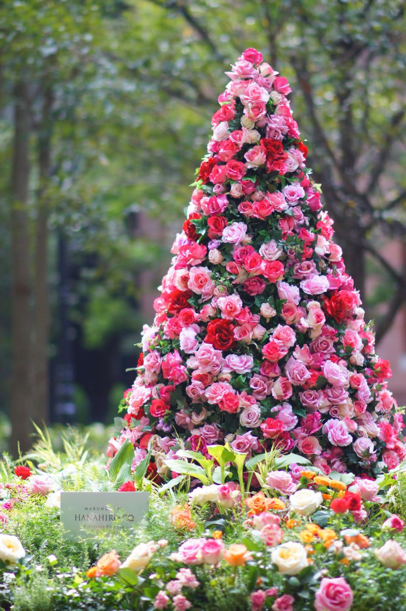 α33とSAMYANG 85mm F1.4 | GANREF