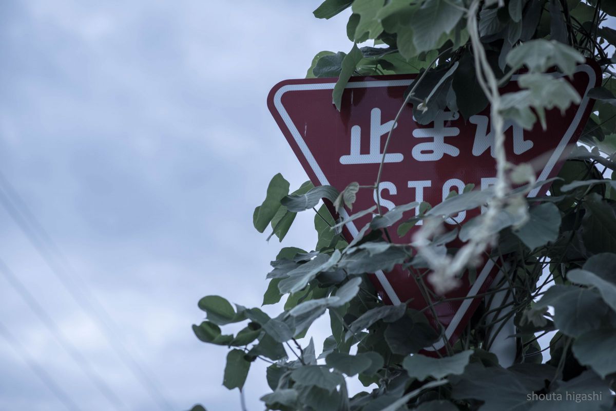 not stop , to be continuation of life | GANREF