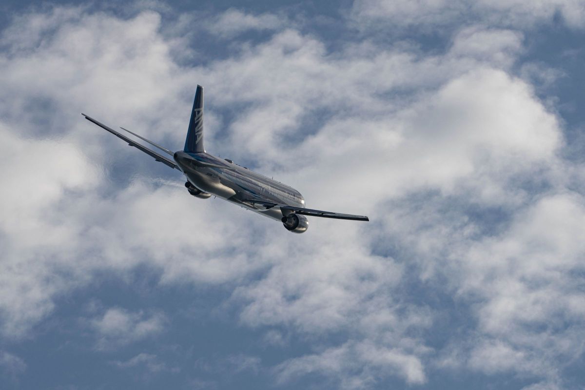 Morning Shine 2024/11 | GANREF