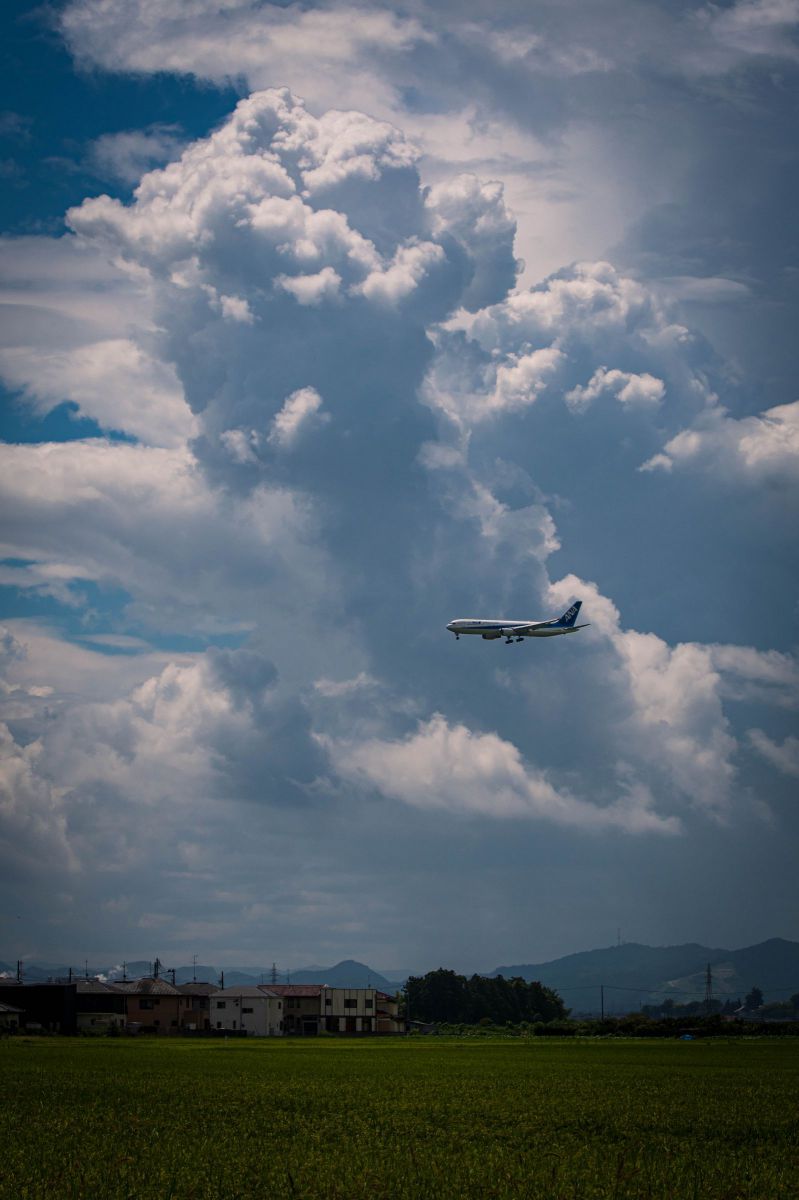 或る夏の日 2024/08 | GANREF