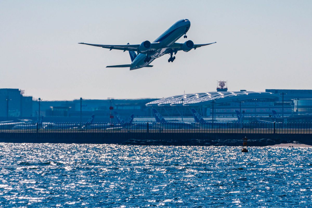 青写真 2024/11 | GANREF