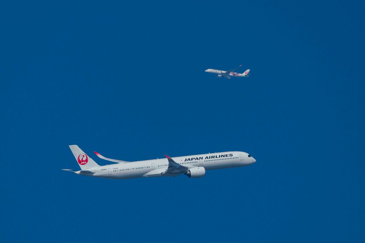 交差するサゴマル 2024/11 | GANREF