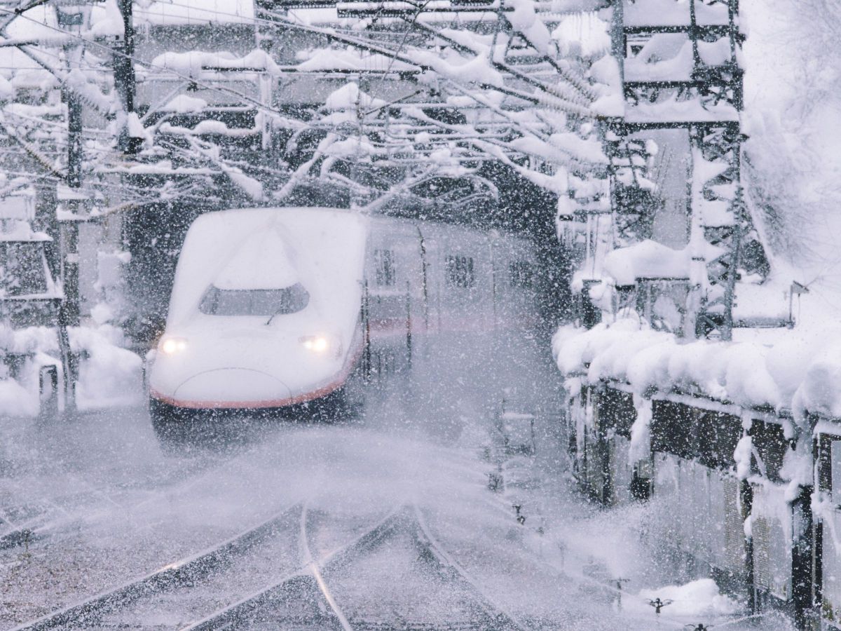 E4系新幹線お出まし！ | GANREF