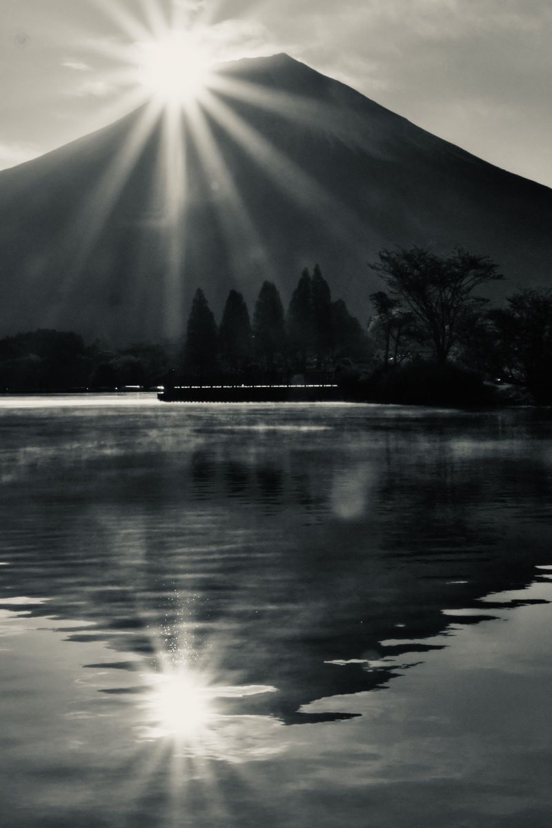 Diamond .富士 | GANREF