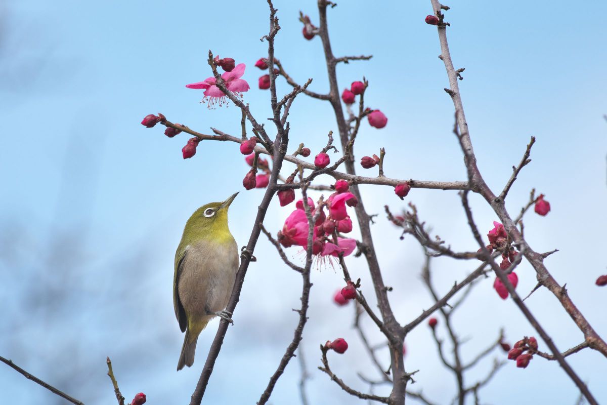もう少し待てば | GANREF