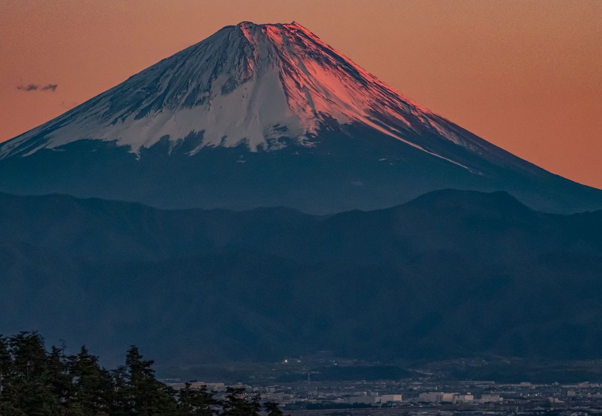 半分赤い | GANREF