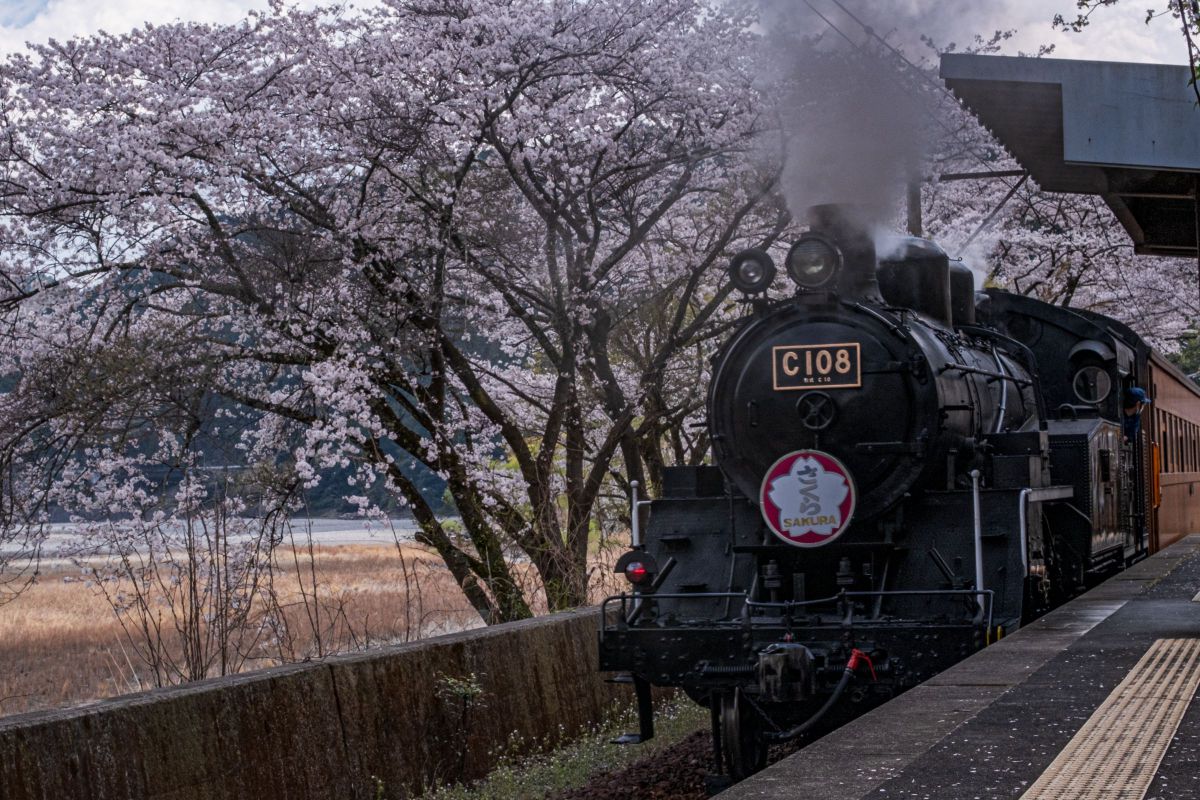 駅停車中 | GANREF