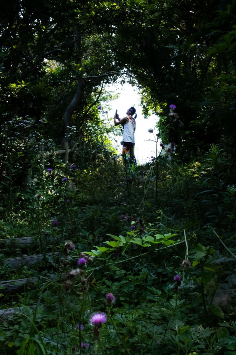 自然に帰った小道の先 | GANREF