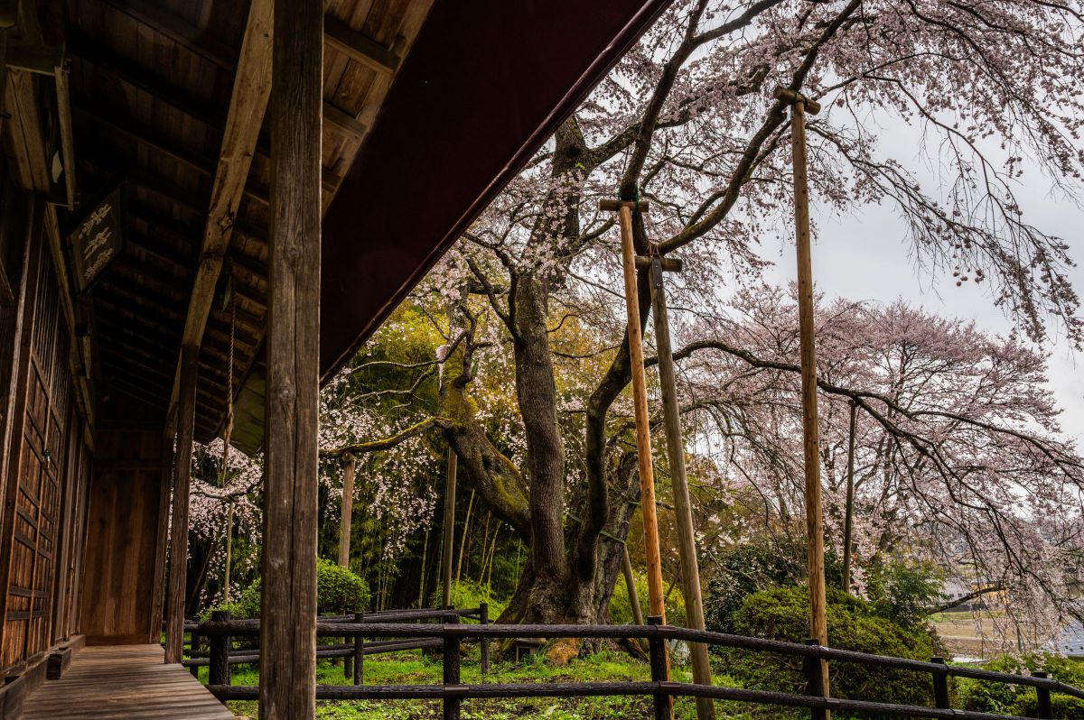 雨の雪村庵 | GANREF