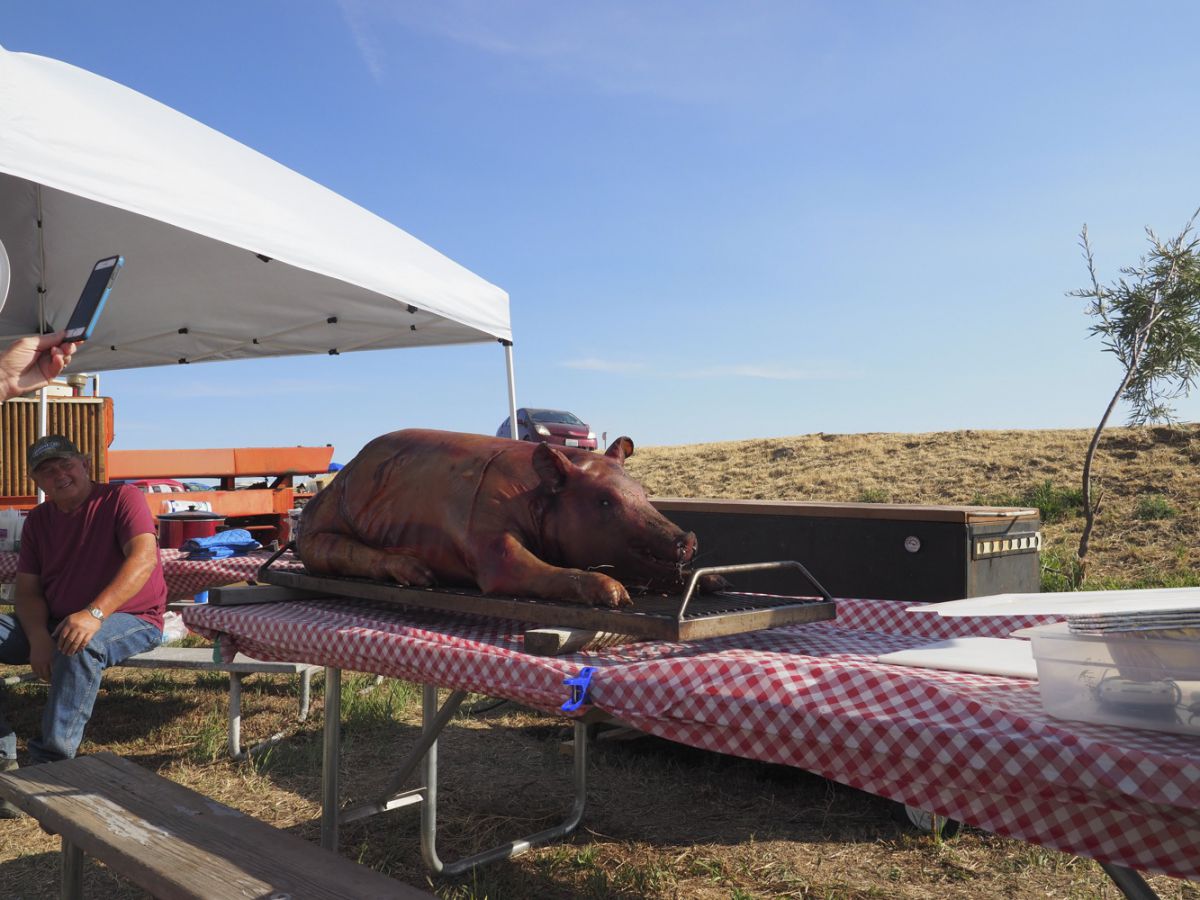 2017．8 Great American Eclipse スナップ、風景 | GANREF