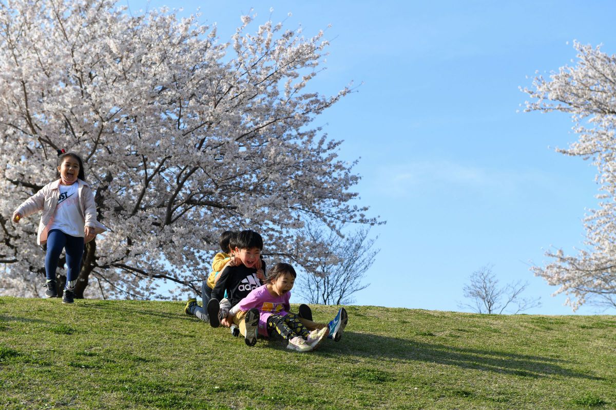 Boys, be ambitious.(like this old man.) | GANREF
