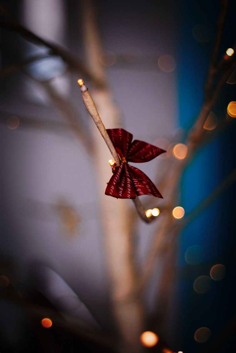 Like a Butterfly, Like a FireFlies | GANREF