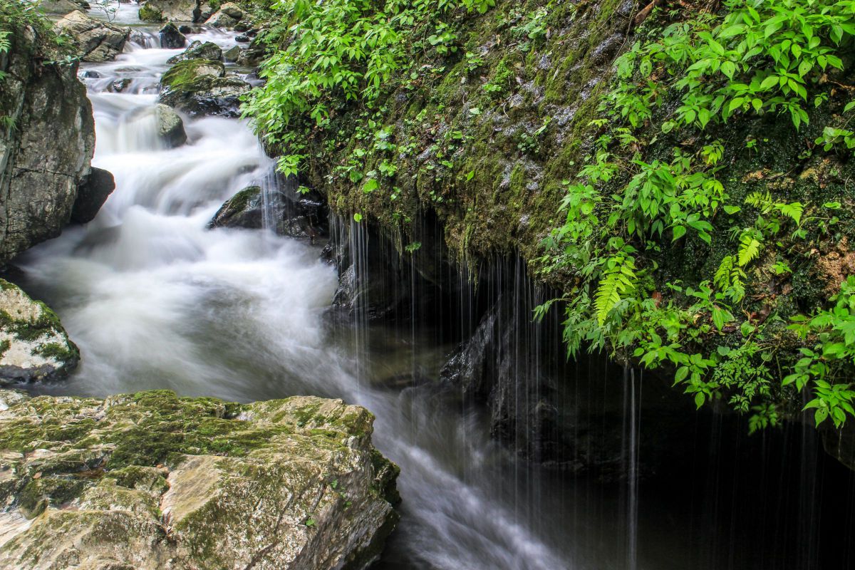 玉垂れの滝 | GANREF