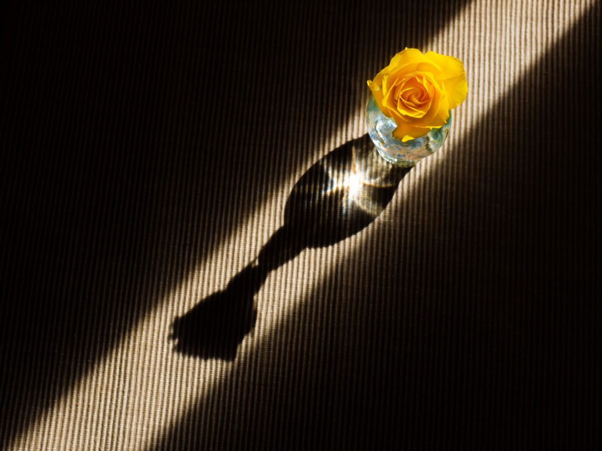 slit of light. | GANREF