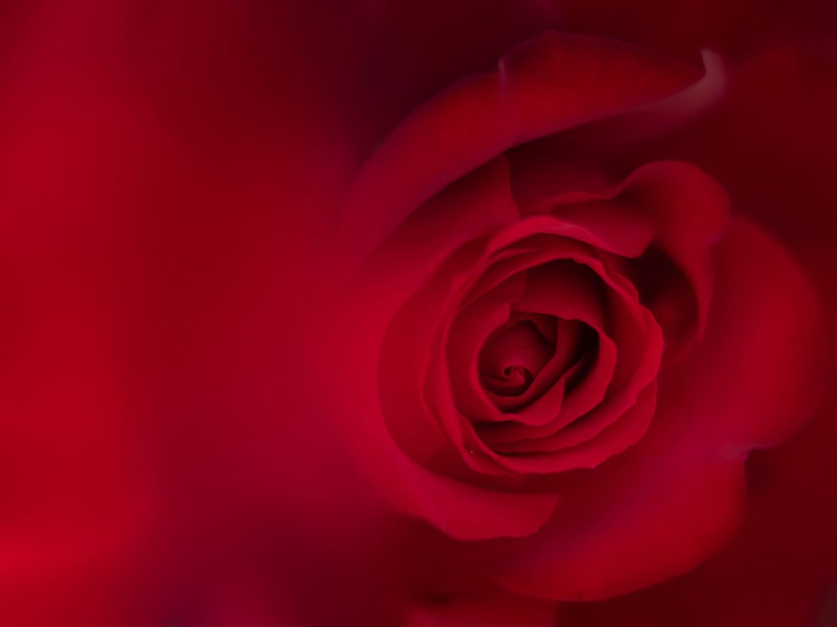 Nova Flame. | GANREF