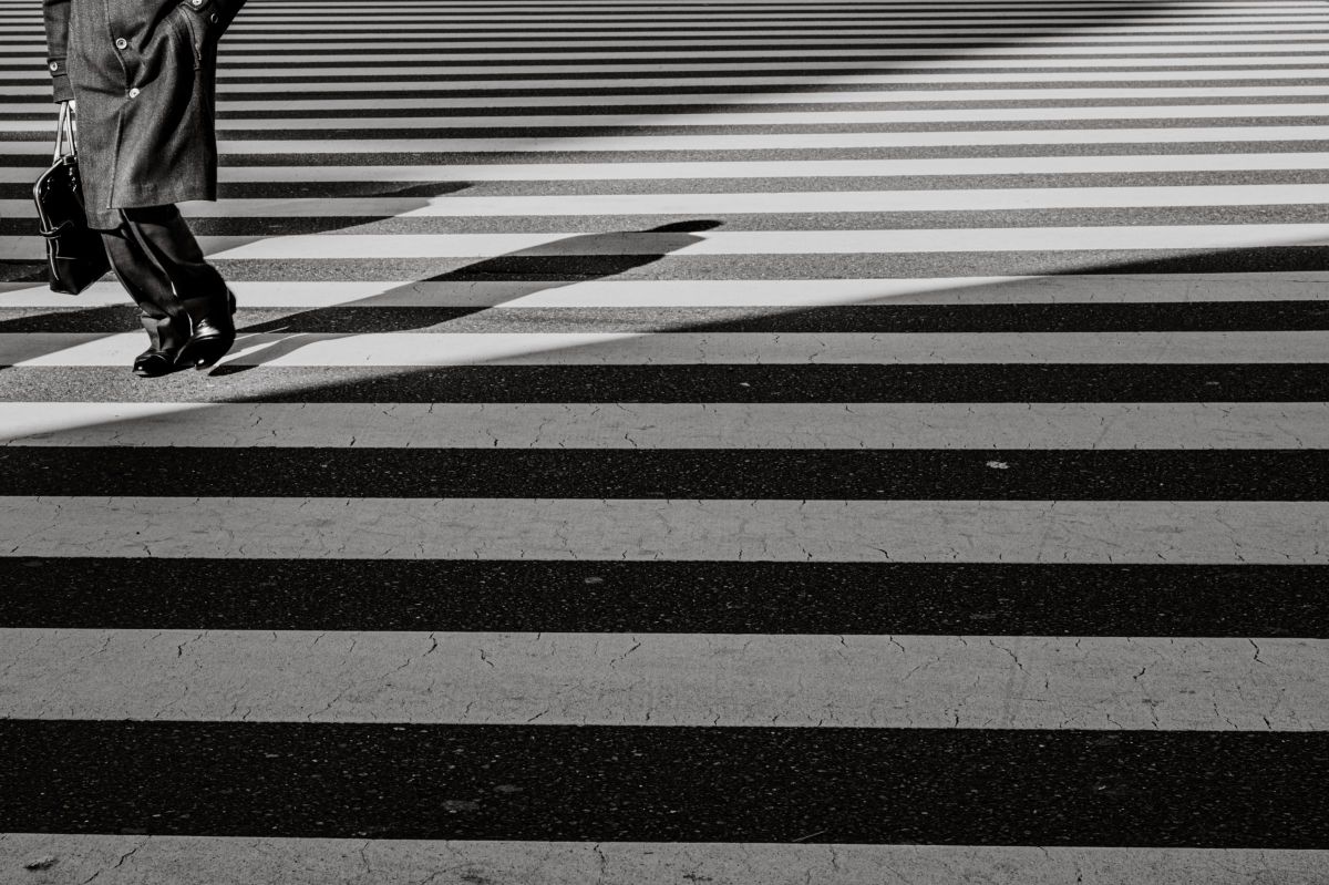 Wide Zebra. | GANREF