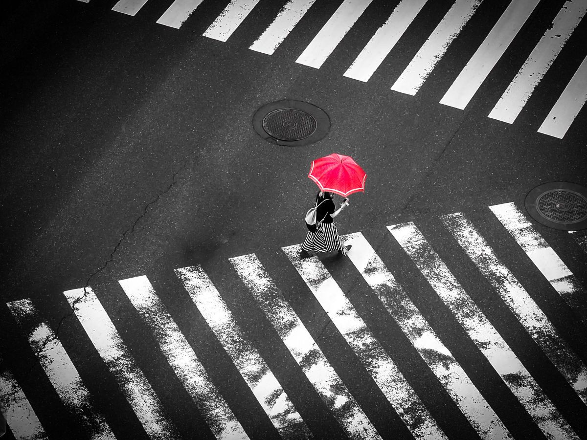 Zebra Crossing. | GANREF