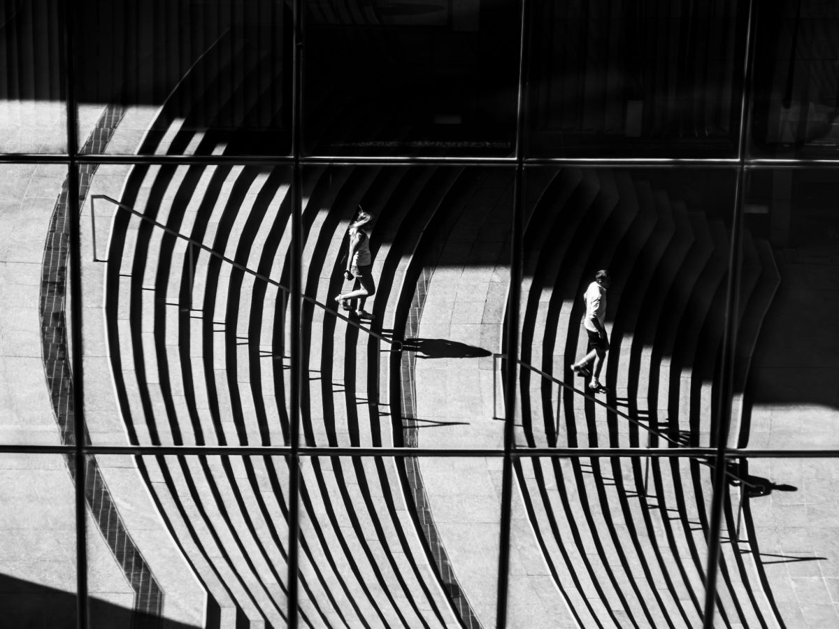 in the mirror world. | GANREF