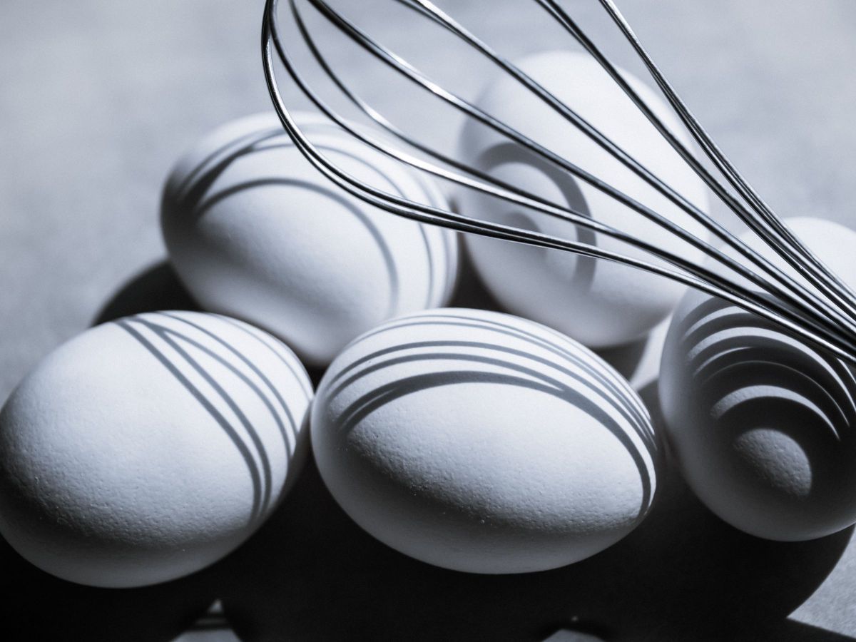 shadow on eggs. | GANREF