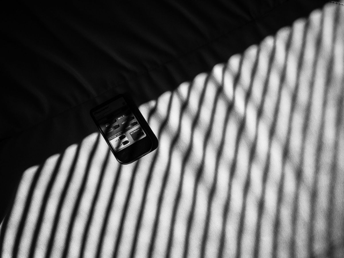 Morning Stripe. | GANREF