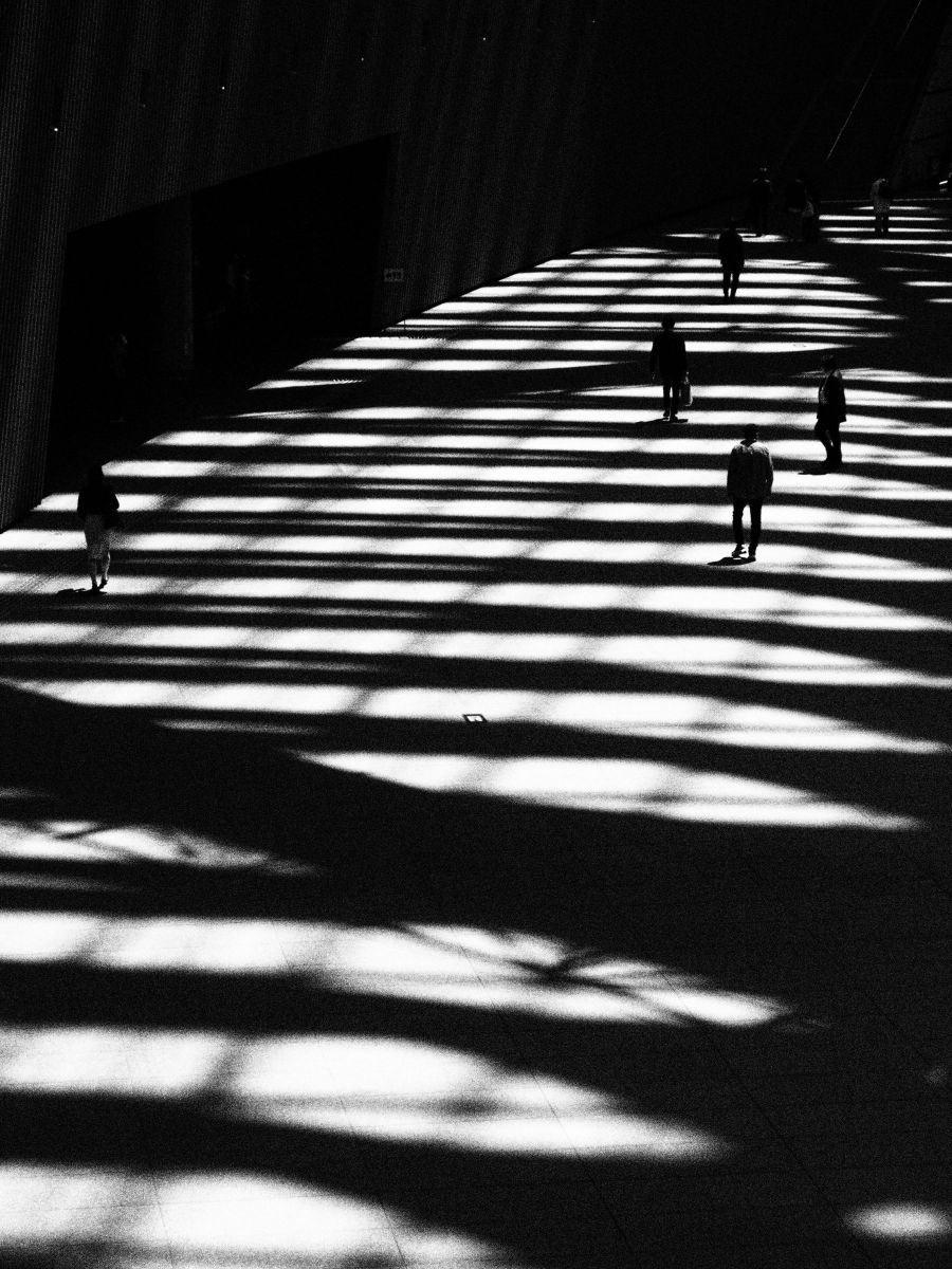 bone shadow. | GANREF