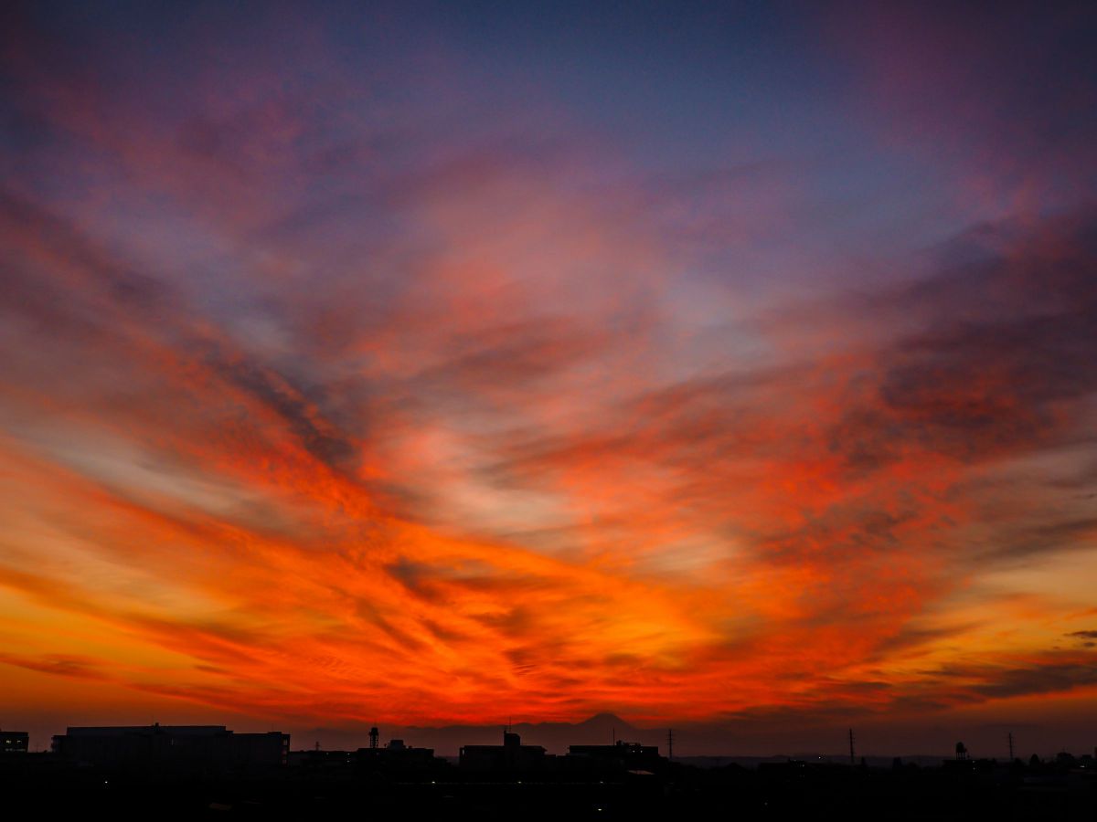 黄昏phoenix. | GANREF