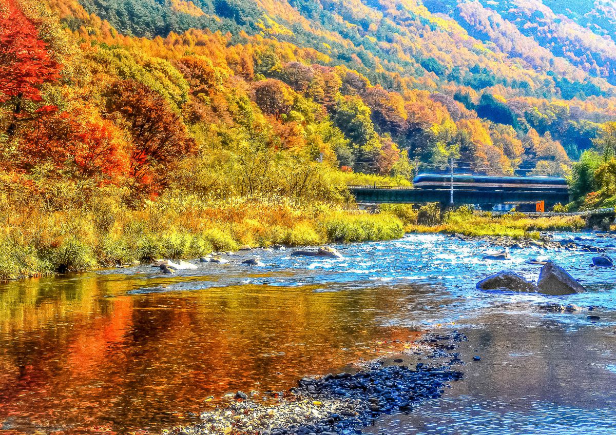 Autumn Express | GANREF