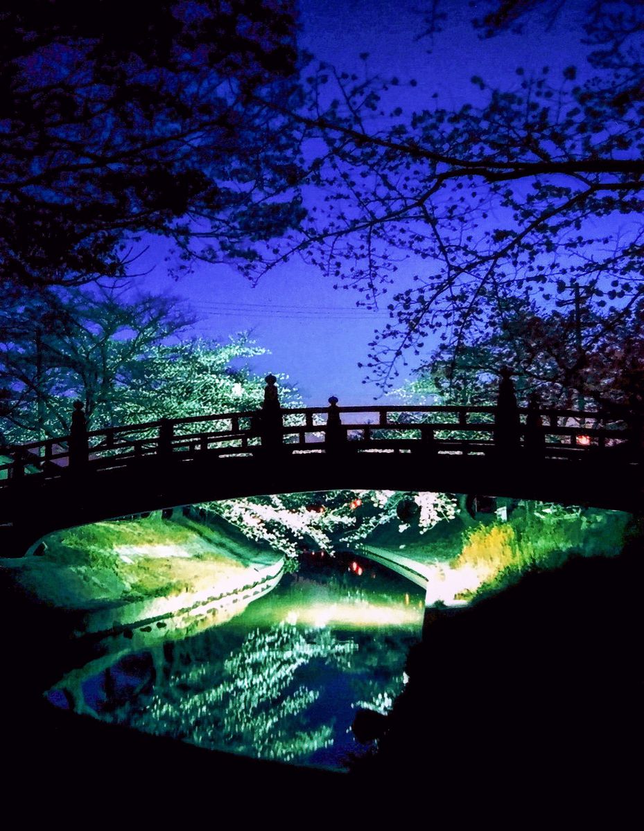 Spring Fantasy | GANREF