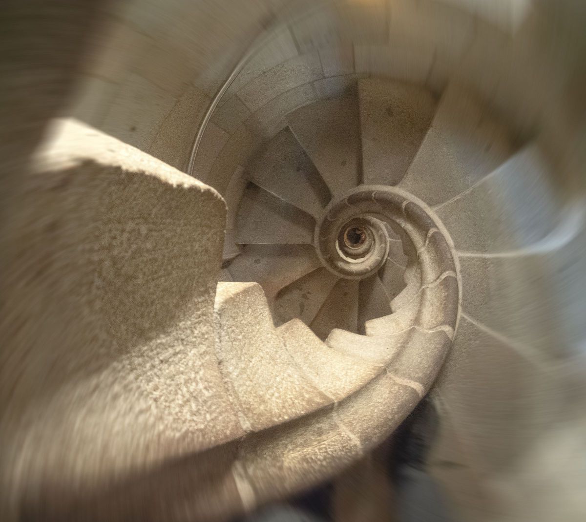 Rising dragon | GANREF