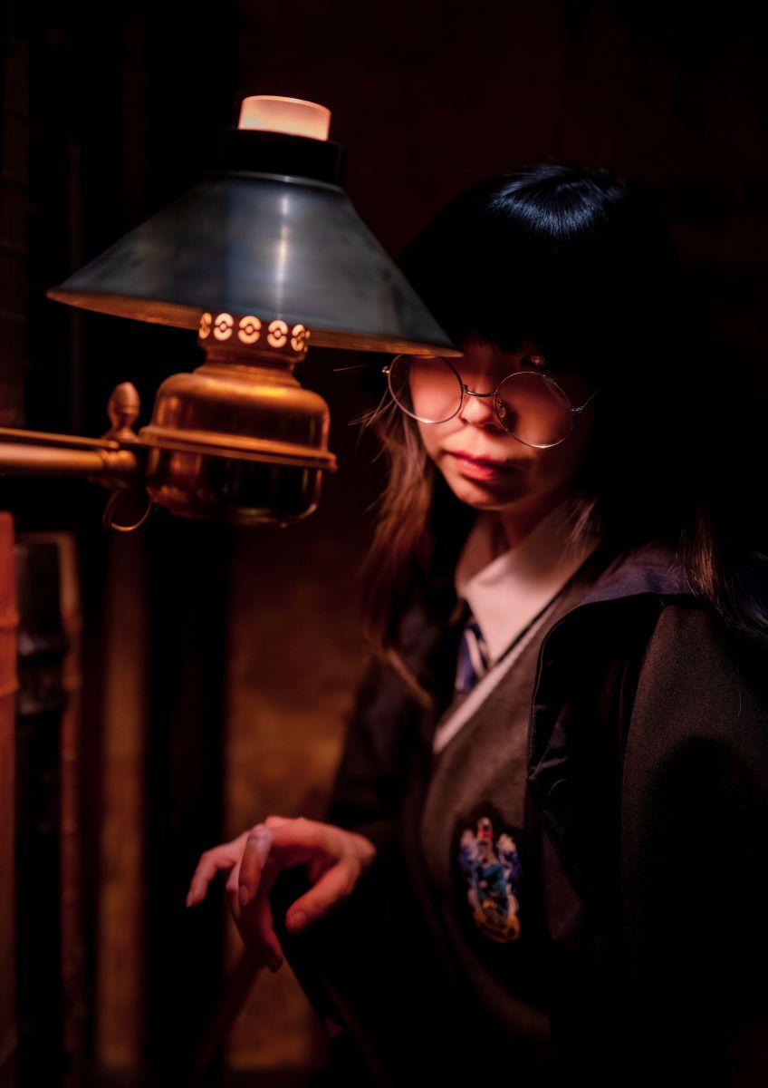 ホグワーツと炎のゴブレット #6 | GANREF