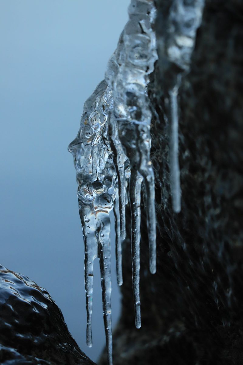 Cristal Dew | GANREF