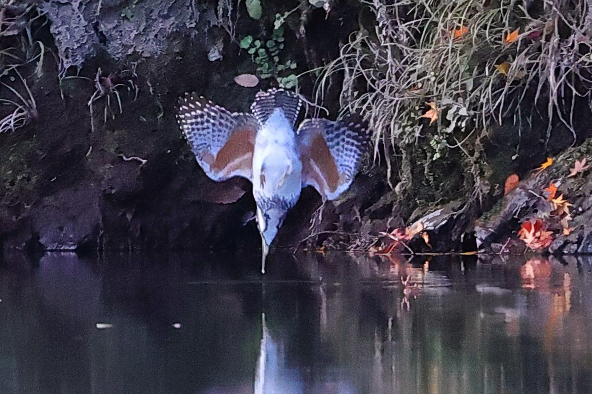 東の川辺-④ ⇒ タイプB | GANREF