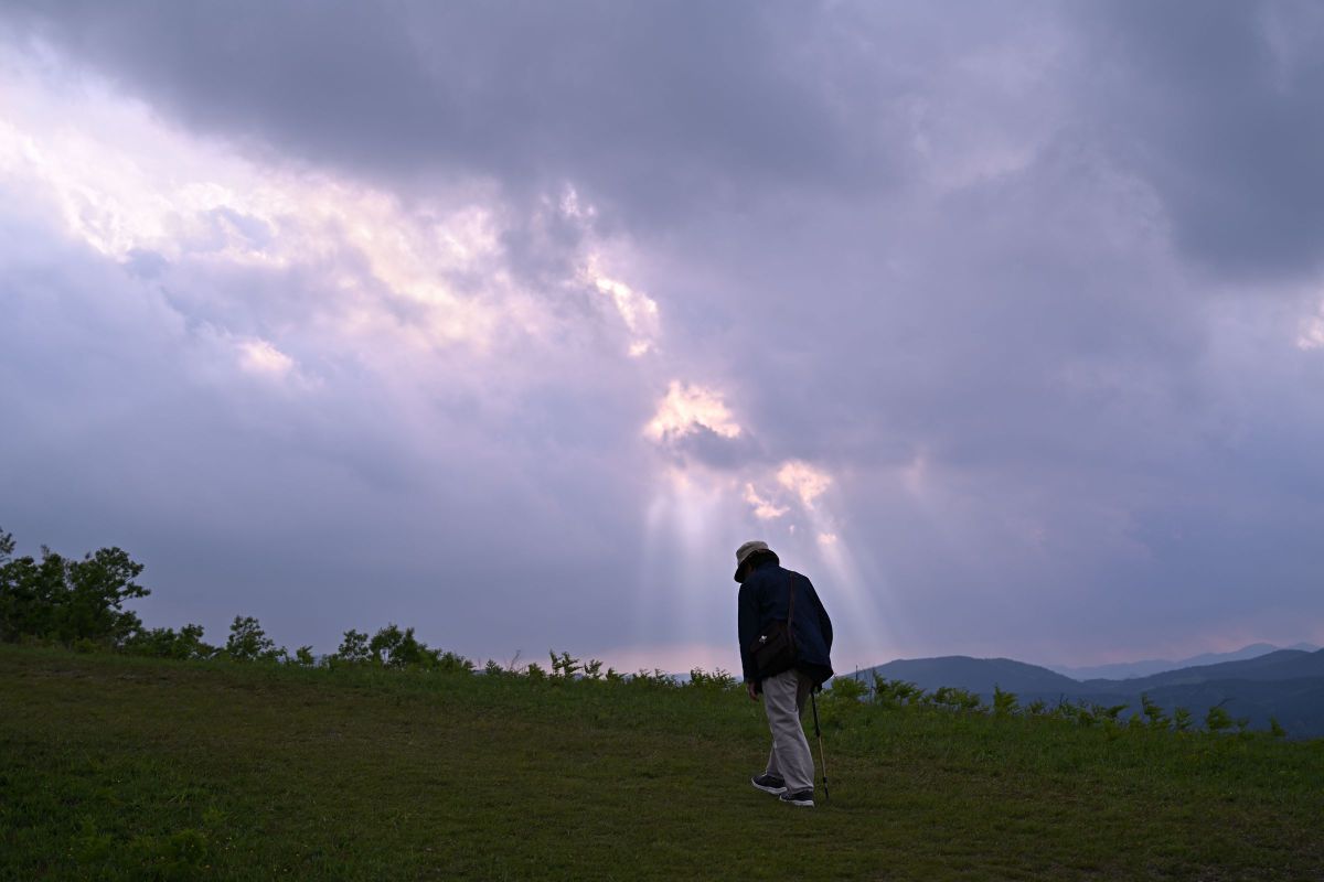 step by step | GANREF