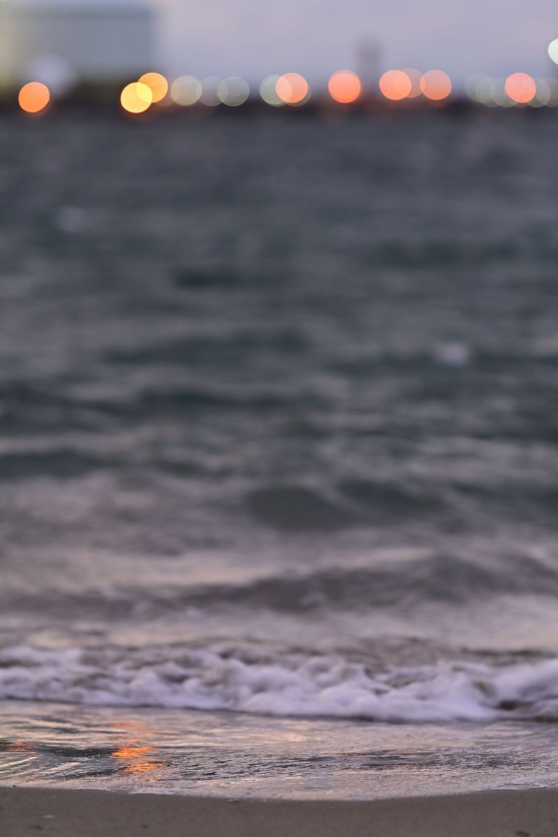 On the Beach | GANREF