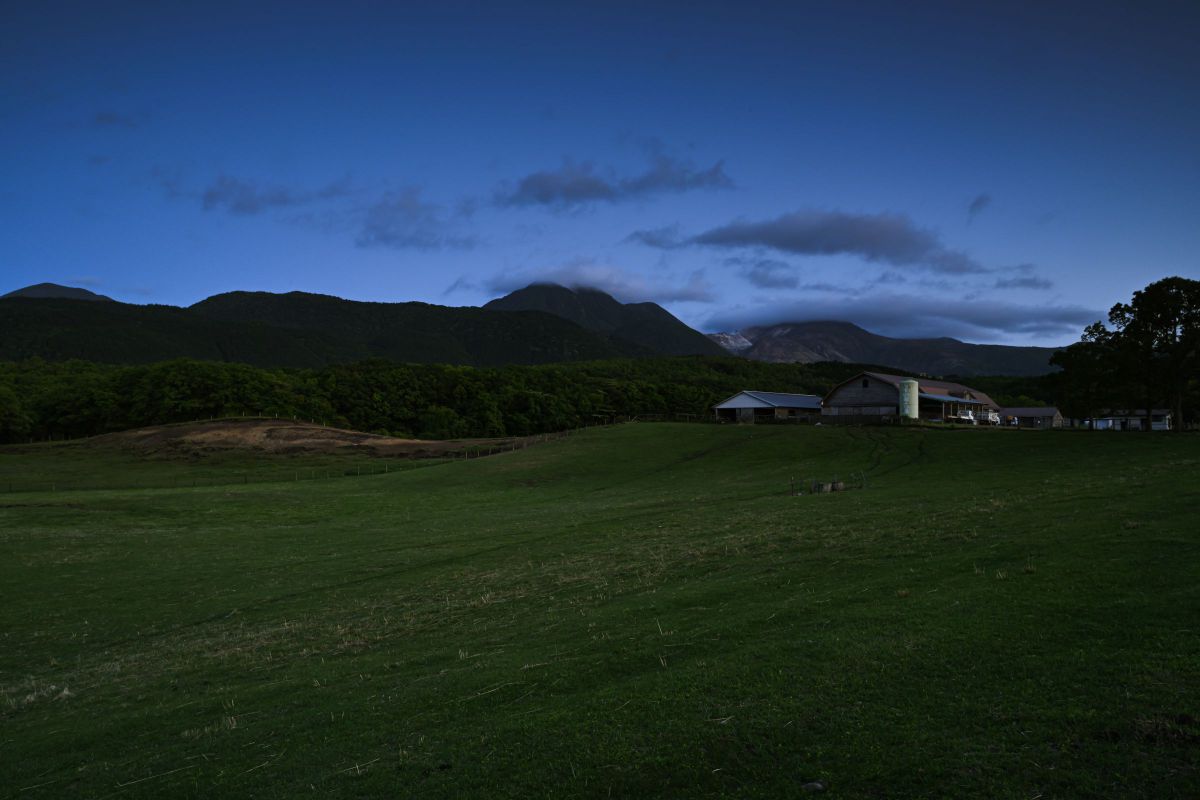 dinner time #2 | GANREF