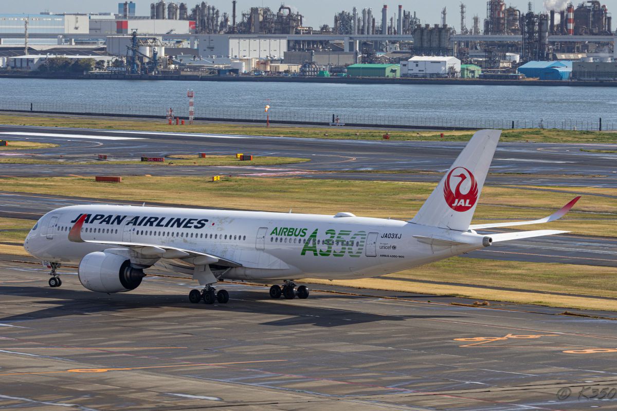 塗装ボロボロ | GANREF