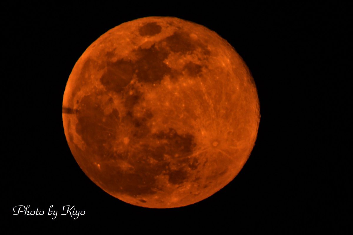 2020.4．8のsuper moon | GANREF