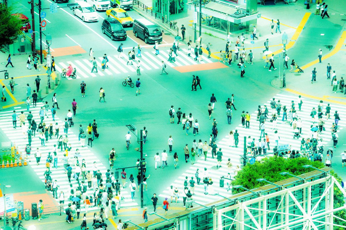 Halation*** | GANREF