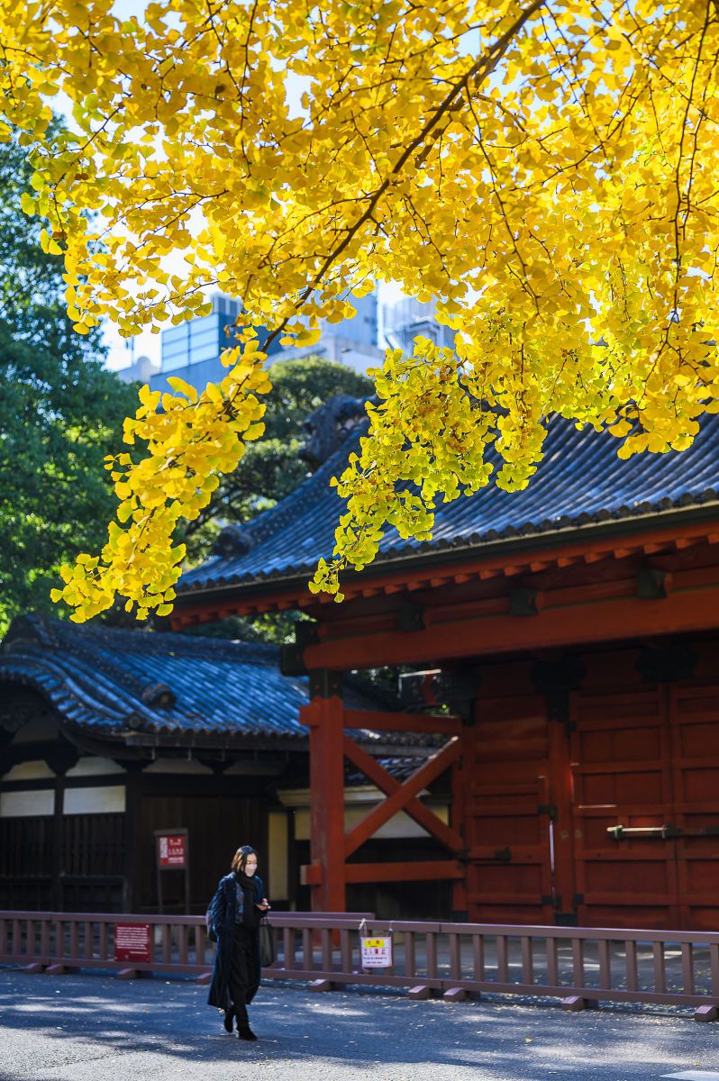 Color photography : 069 | GANREF