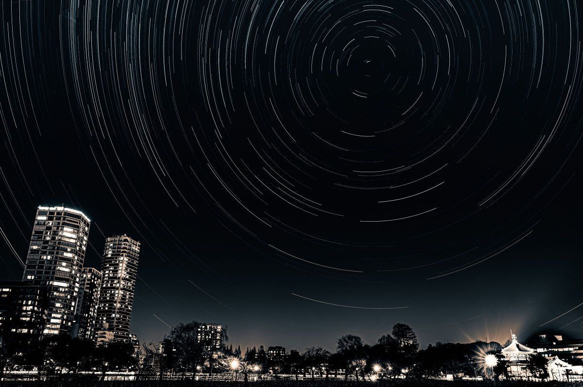 Monochrome : 011 | GANREF