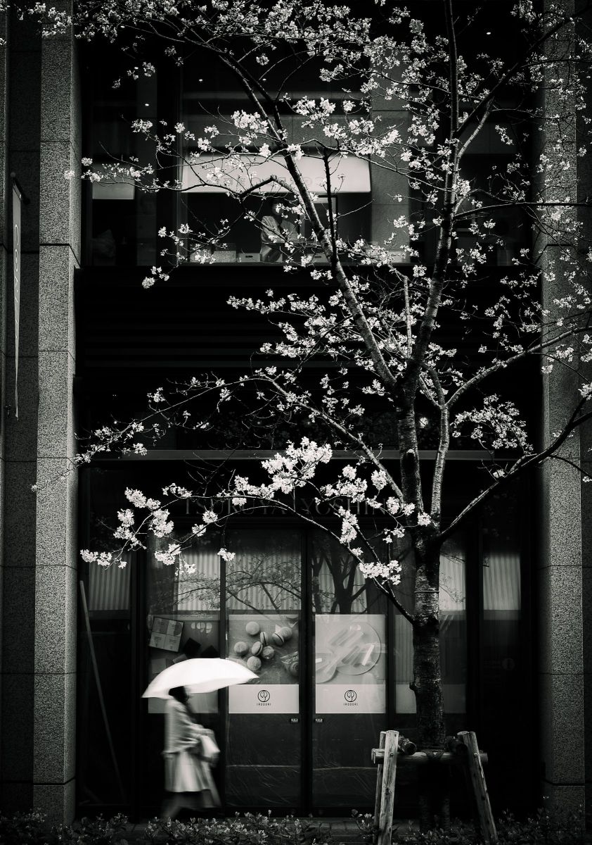 Monochrome : 016 | GANREF