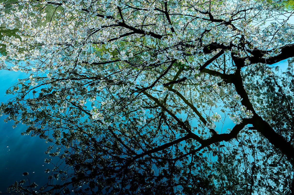 Color photography : 157 | GANREF