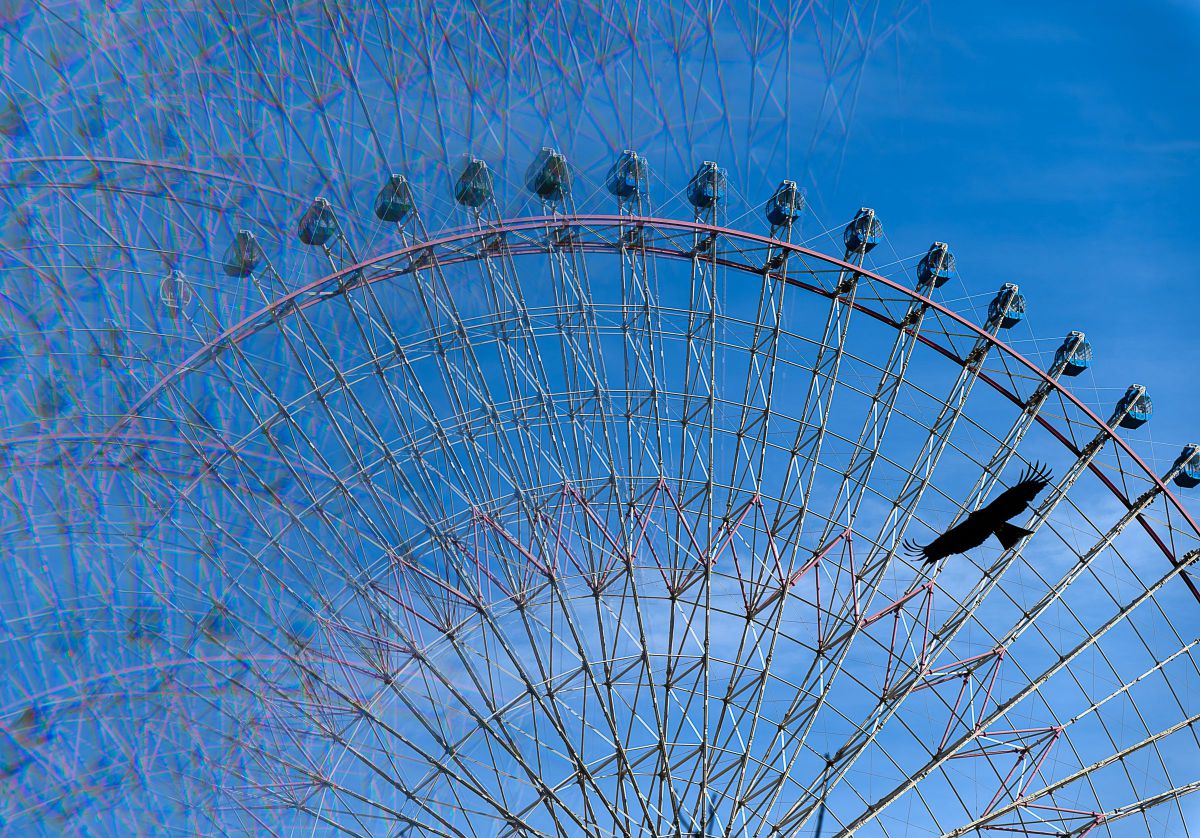 Color photography : 121 | GANREF