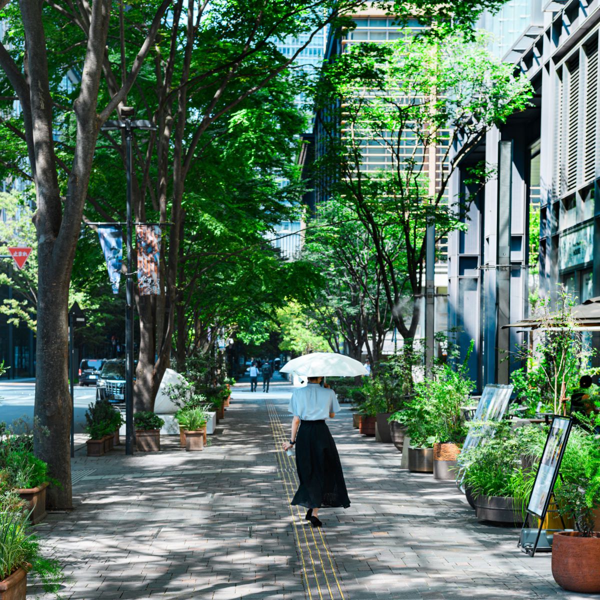 Color photography : 037 | GANREF