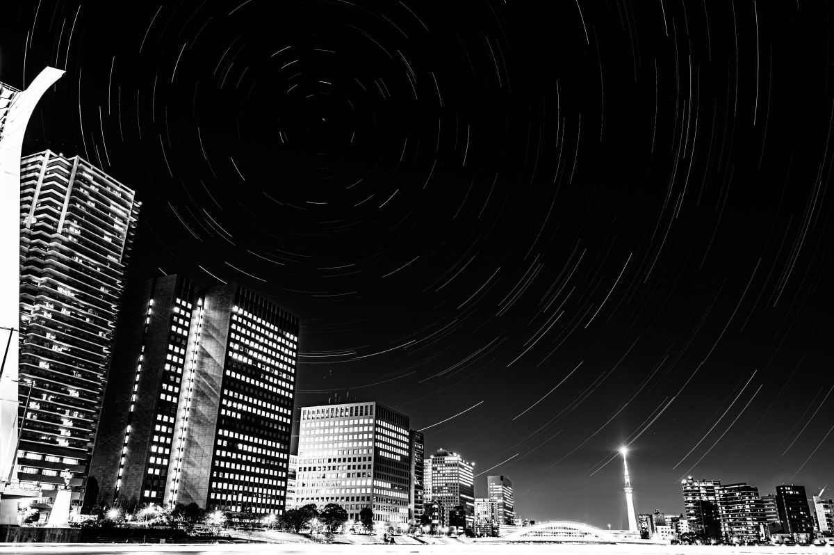 Monochrome : 010 | GANREF